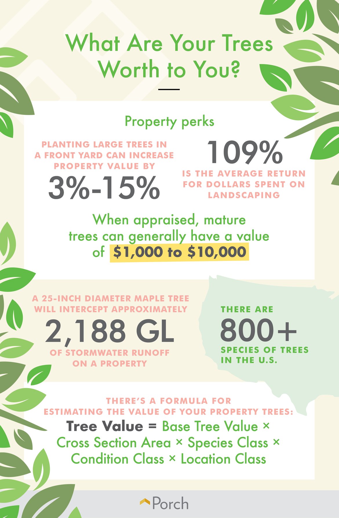 How Much Are Residential Trees Really Worth?